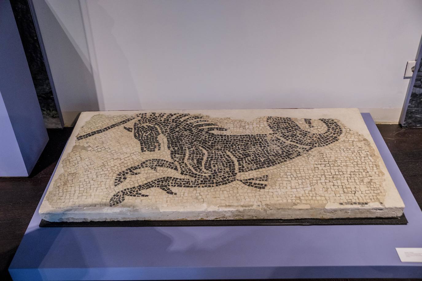 Fotos: El Bibat expone los grandes hallazgos de la arqueología vasca y ...